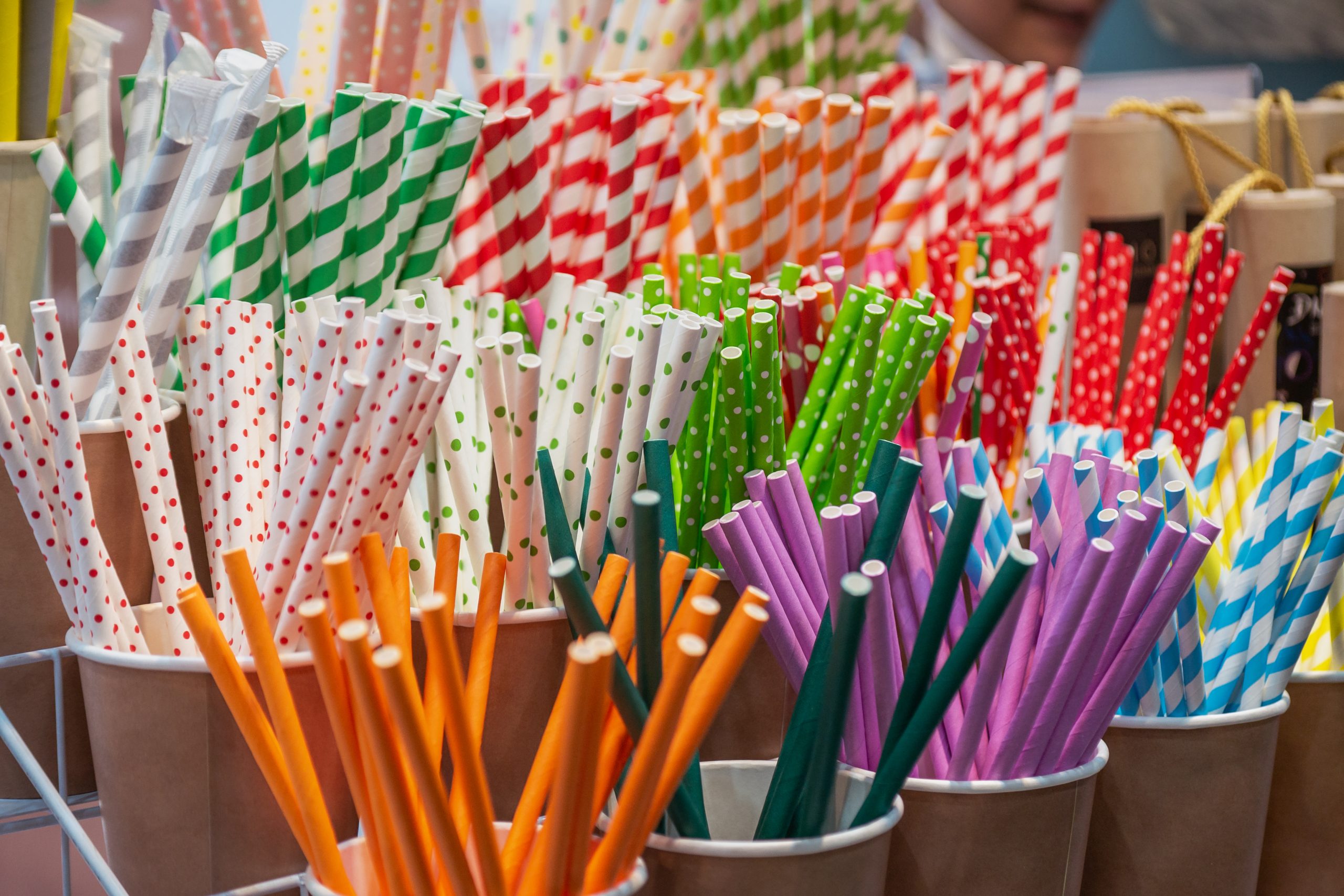 Proposed law would ban paper straws statewide - Creative Loafing Tampa