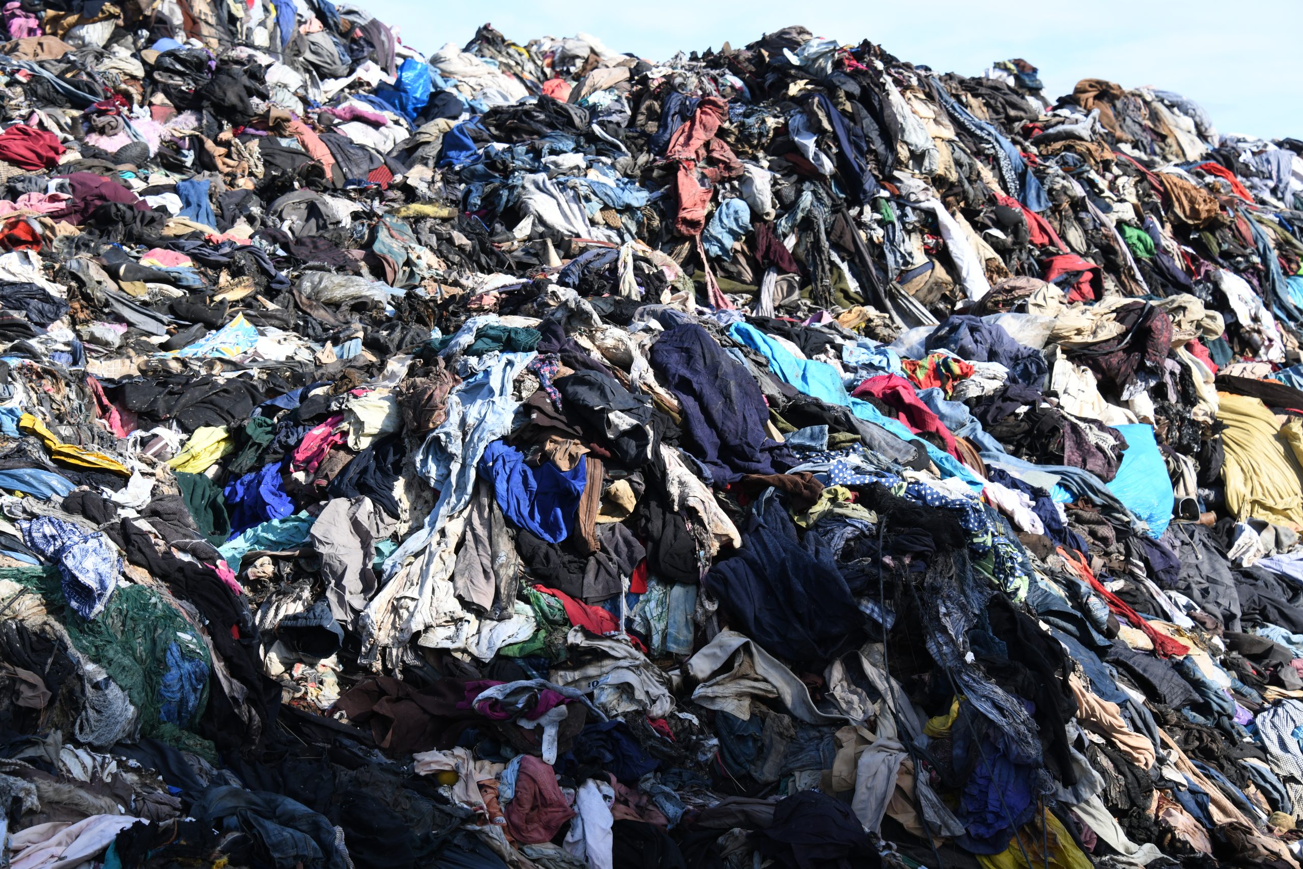 Sans Market hosts quarterly swap to save clothes from landfill ...